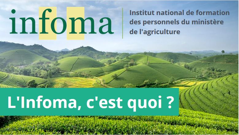 L'Infoma, c'est quoi ? - Site de l'INFOMA