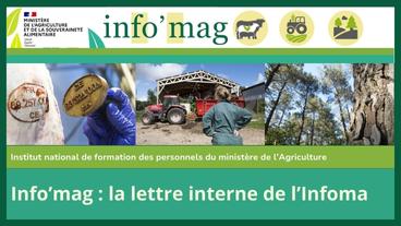 Info'mag : la lettre de l'Infoma, le dernier numéro est en ligne ! | INFOMA