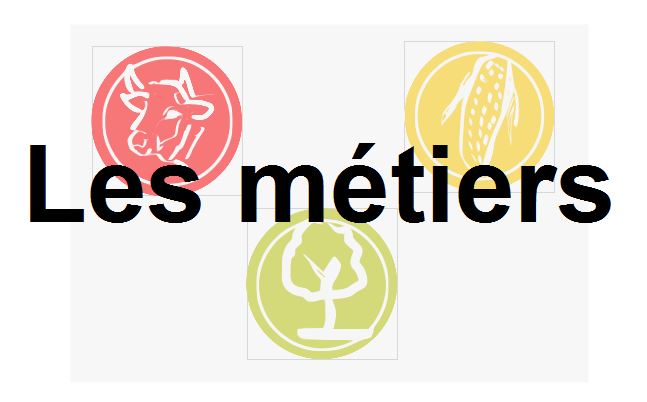 Présentation des métiers | INFOMA